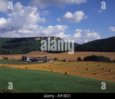 Hay Bales at Sutton Bank, North Yorkshire, England Stock Photo - Alamy