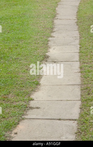 Stone paved walking path in the forest. Peaceful walking path in the ...