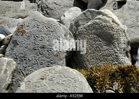 Old Tibetan script on rocks Kyang Nar Phu Annapurna Region Nepal Stock ...