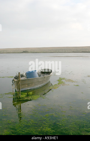 rowing boat moored on the fleet lagoon Stock Photo - Alamy