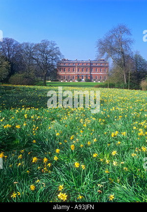 Spring daffodils and English stately home England Uk Stock Photo - Alamy
