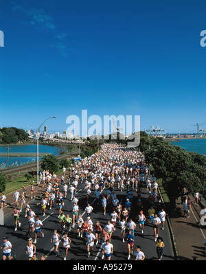 Round the Bays run Auckland New Zealand Stock Photo - Alamy