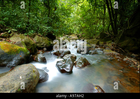 River in the wild Darien jungle near Colombia and Panama border ...