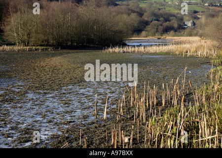 Lake and Wetland Country Park Parc Cwm Darren near Bargoed Stock Photo ...