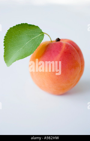 An apricot FoodCollection Stock Photo - Alamy