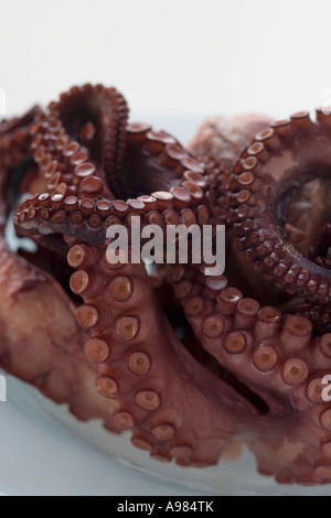 Smoked octopus FoodCollection Stock Photo - Alamy
