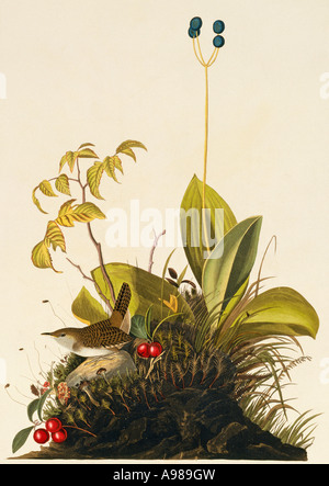 House on a Rock Stock Photo - Alamy