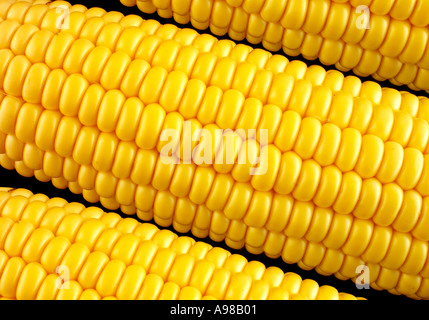 corn on the cob Stock Photo - Alamy