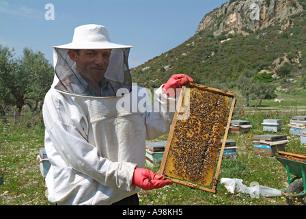 Turkish villager A beekeeper tending to his bees in a rural village ...