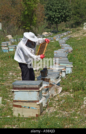 Turkish villager A beekeeper tending to his bees in a rural village ...