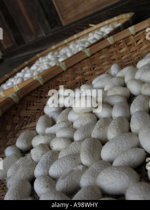 Basket with silkworm pods Stock Photo - Alamy