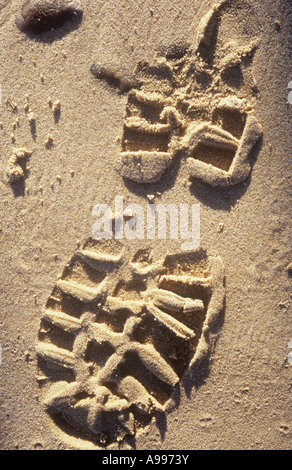 Close up of feet walking off road forest path. Girl trail running. Side ...