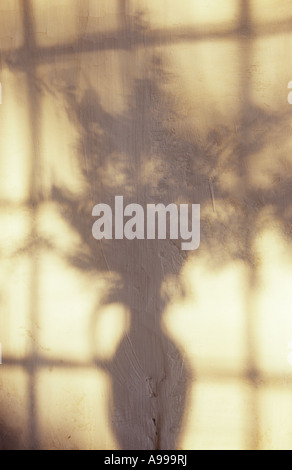 Plaster flowers in jug Stock Photo - Alamy