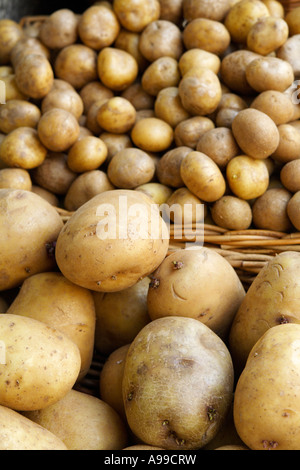 Different types of fresh potatoes, closeup view Stock Photo - Alamy