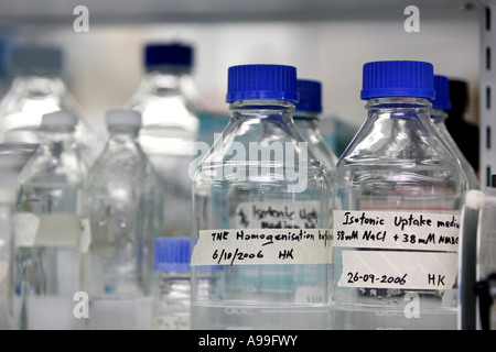 Bottles with blue lids in science lab Stock Photo - Alamy