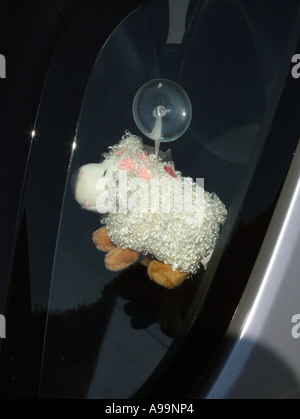 sheep in car window Stock Photo - Alamy