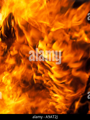 Fire blaze flames on black background. Fire burn flame isolated ...