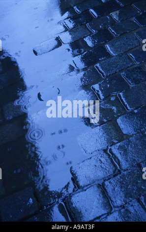 wet cobble stone road close up perspective view after rain with autumn ...