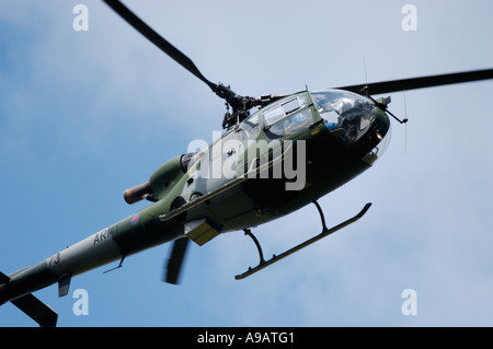 Army Air Corps Gazelle - The Blue Eagles Display Team Stock Photo - Alamy