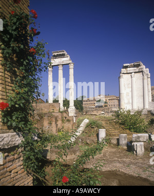 RED ROSES TEMPLE OF CASTOR AND POLLUX ROMAN FORUM RUINS ROME ITALY ...