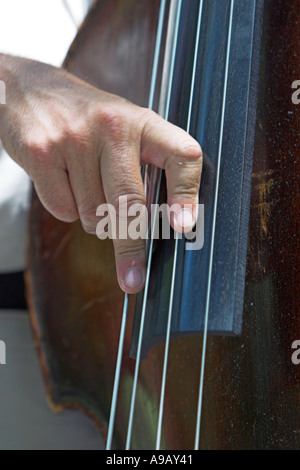 Male hand plucking strings on an upright bass Stock Photo - Alamy