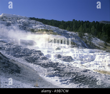 Minerva Terrace, Yellowstone National Park. Frank Jay Haynes (American ...