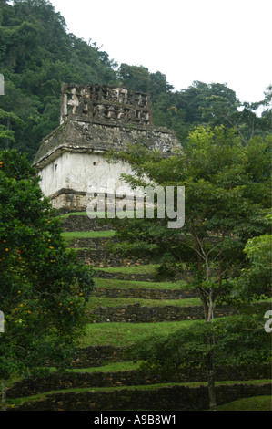 A general view of the Mayan ruins of Palenque in Mexico Stock Photo - Alamy