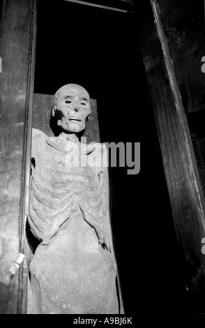 Jimmy Garlick or old Jimmy Garlick a naturally desiccated mummy of ...