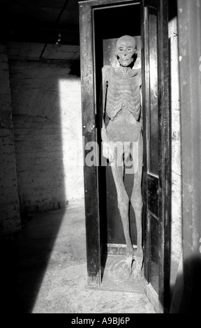 Jimmy Garlick or old Jimmy Garlick a naturally desiccated mummy of ...