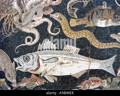Roman mosaic. Marine with fish. From Pompei, House of the Faun, (VI. 12 ...