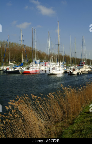 france normand manche cotentin peninsula carentan harbour Stock Photo ...