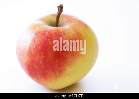 Apple Elstar Stock Photo - Alamy
