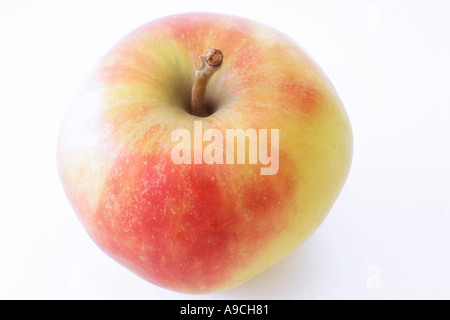 Apple Elstar Stock Photo - Alamy