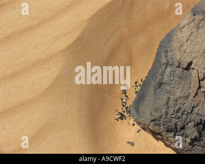 Shiny black volcanic rock strewn over the sand in the Black Desert ...