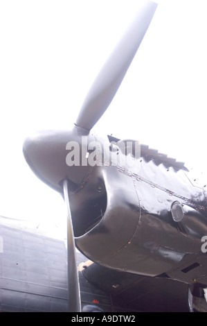 The Lancaster - PA474 - Mickey the Moocher Stock Photo - Alamy