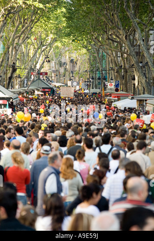 Sant Jordi festival in Barcelona A woman photographs roses on the ...