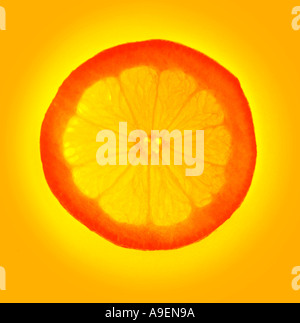 COMMON NAME: Orange LATIN NAME: Citrus sinensis Stock Photo - Alamy