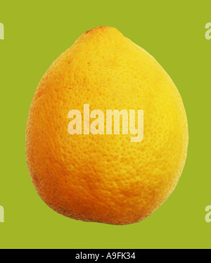 COMMON NAME: Lemons LATIN NAME: Limon Stock Photo - Alamy