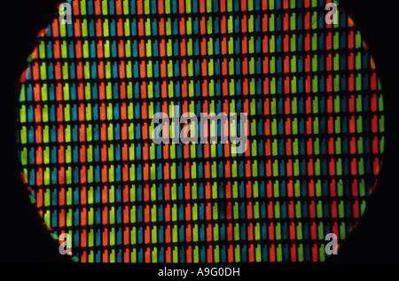 Microscope styled close up view of human skin and hair roots Stock ...