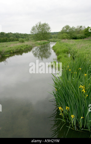 The Chess valley with the River Chess in Hertfordshire, England United ...