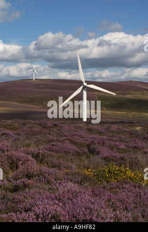 Wind turbines on Kirkby Moor wind farm producing electricity for part ...