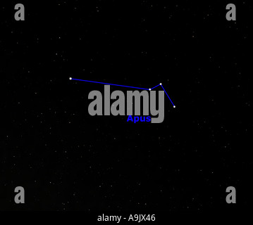 Apus Constellation Showing Name And Sign Stock Photo - Alamy