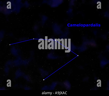 Camelopardalis Constellation Showing Name And Sign Stock Photo - Alamy