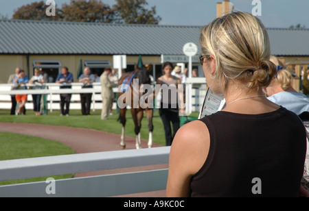A lady studying the racecard for a horse racing meeting at Fakenham in ...