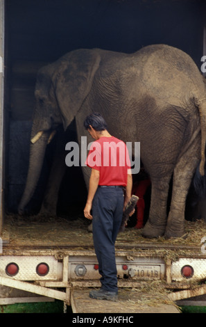 Bentley Bros. Brothers circus asian elephant enters truck roustabout ...