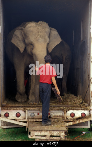 Bentley Bros. Brothers circus asian elephant enters truck roustabout ...