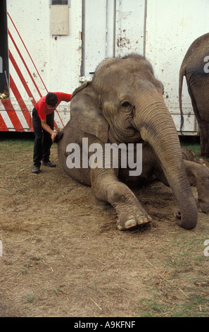 Bentley Bros. Brothers circus roustabout back lot yellow clown car ...