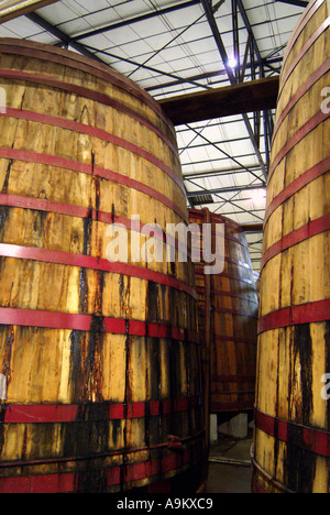 Capel Pisco winery barrels Vicuna Chile Stock Photo - Alamy