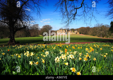 Daffodil time Skelton Castle Skelton in Cleveland Tees Valley England ...