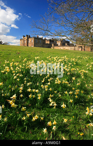 Daffodil time Skelton Castle Skelton in Cleveland Tees Valley England ...